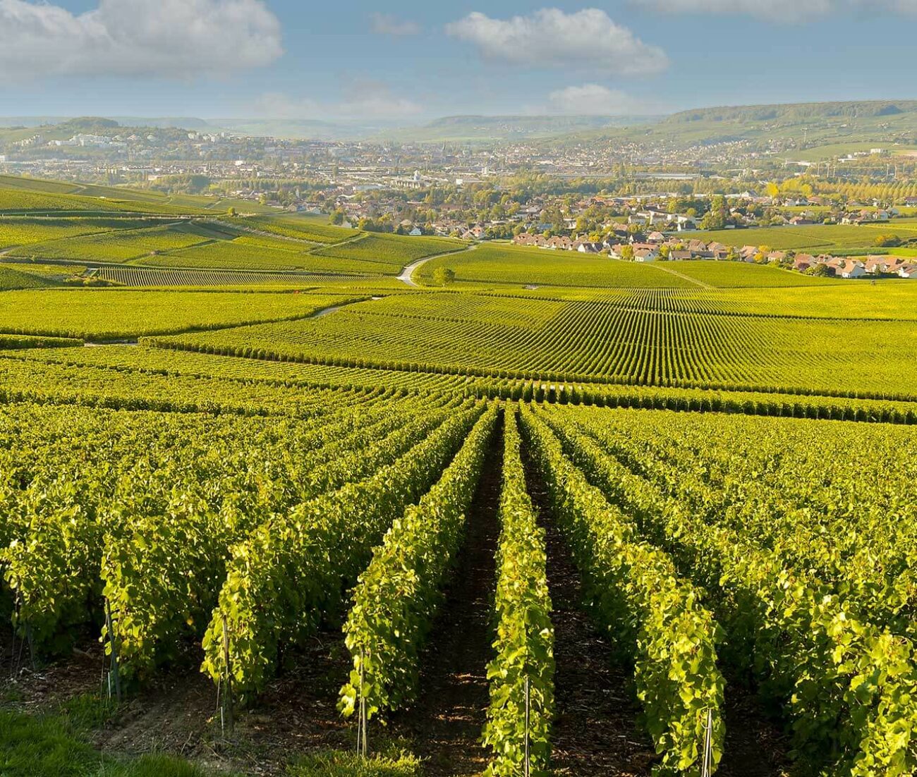 Exxact Robotics - Spécialisée dans les solutions d’agricultures de ...